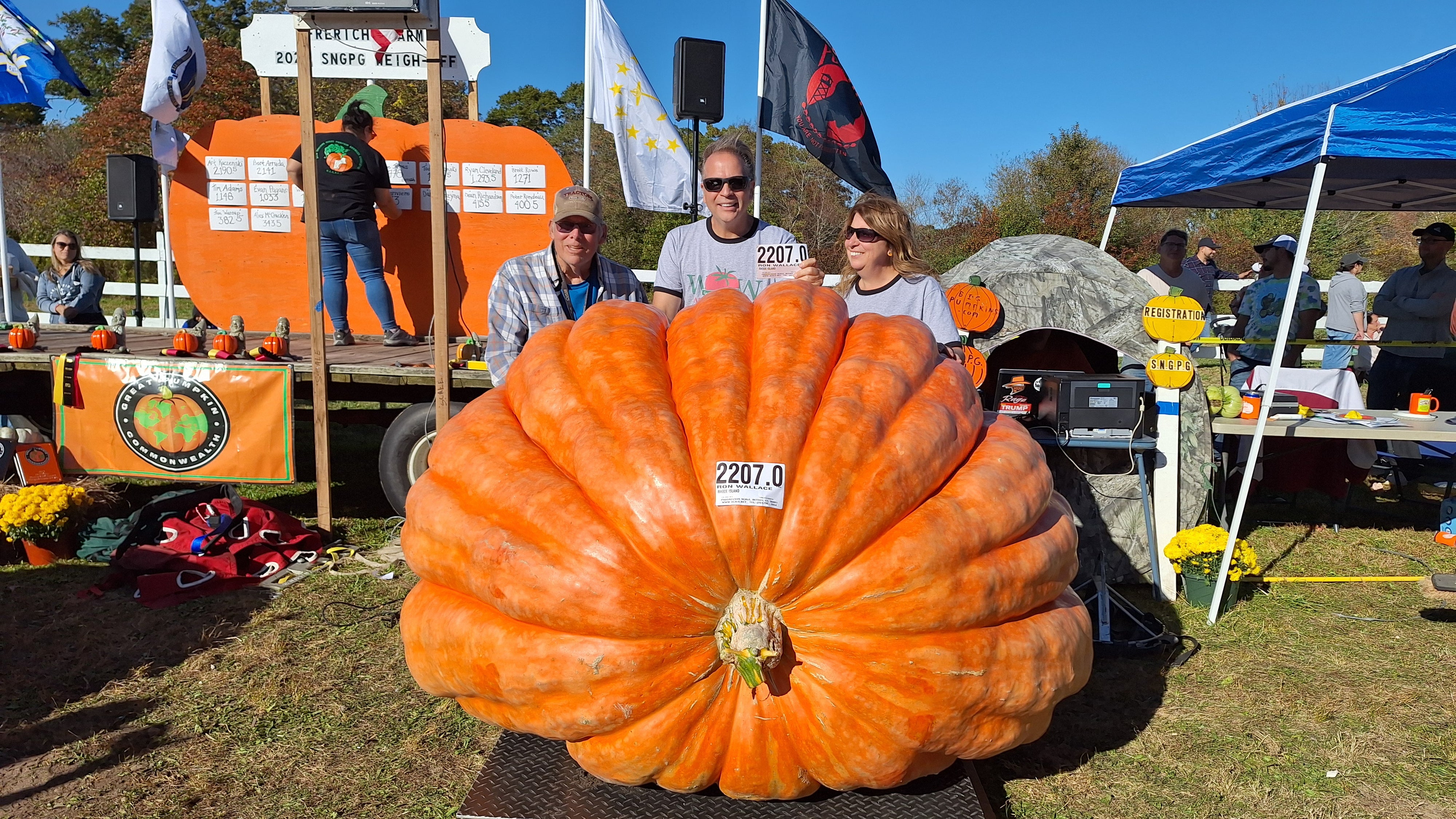 Grow your own Giant Pumpkin Growing Kit | Wallace Organic Wonder