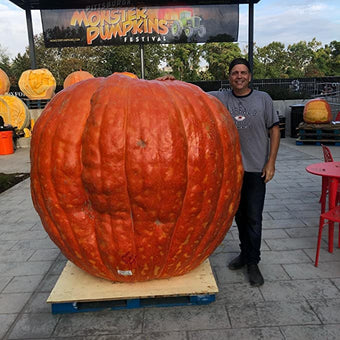 Giant Pumpkin Seeds Worlds Biggest from | Wallace's Whoppers – Wallace ...