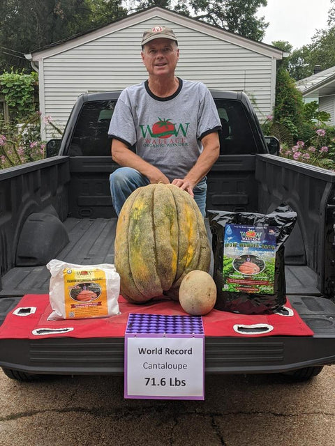 Compost Tea Brews, Seaweed Powder, and Humic Fulvic Acid – Wallace ...