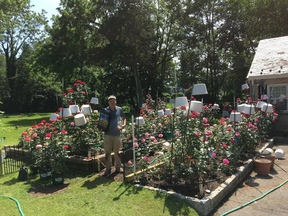 Compost Tea Brews, Seaweed Powder, and Humic Fulvic Acid – Wallace ...